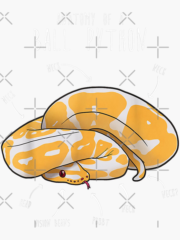 "Anatomy of an Albino Ball Python Funny Reptile Snake Lover T-Shirt ...
