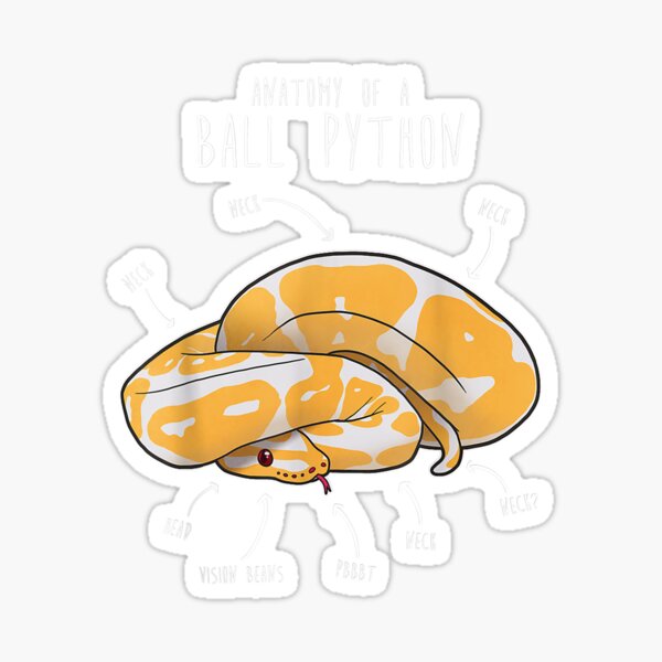 "Anatomy of an Albino Ball Python Funny Reptile Snake Lover T-Shirt ...