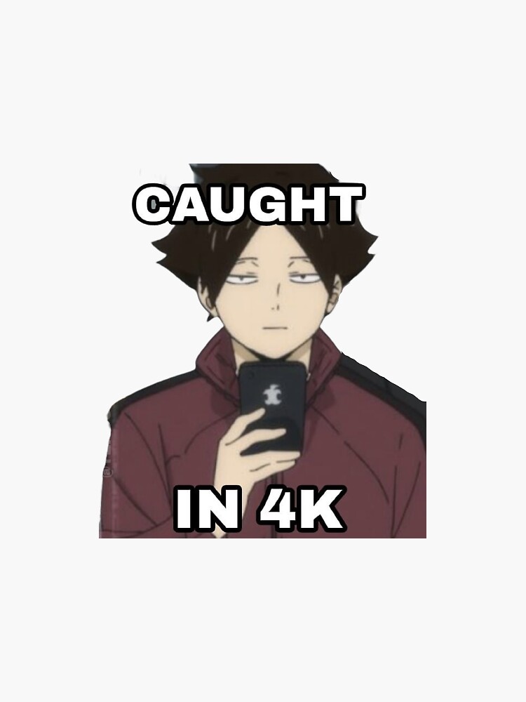 "Suna Caught in 4k" Sticker by Waterlemons013 | Redbubble