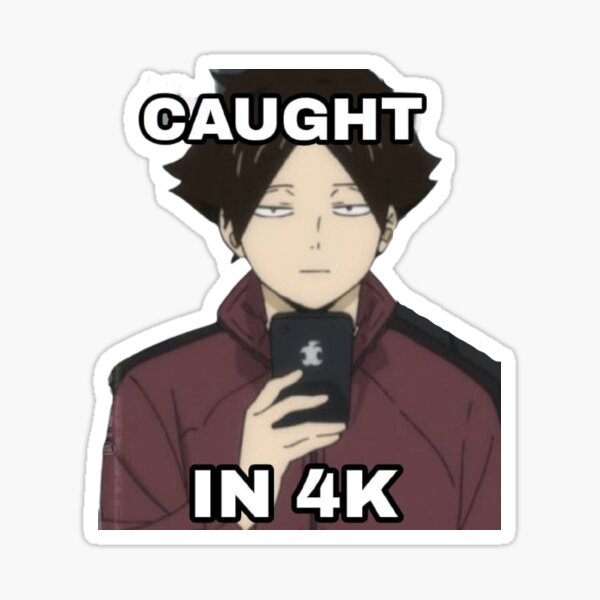 "Suna Caught in 4k" Sticker by Waterlemons013 | Redbubble
