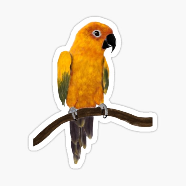 "Sunny, Sun Conure" Sticker by mperla95 | Redbubble
