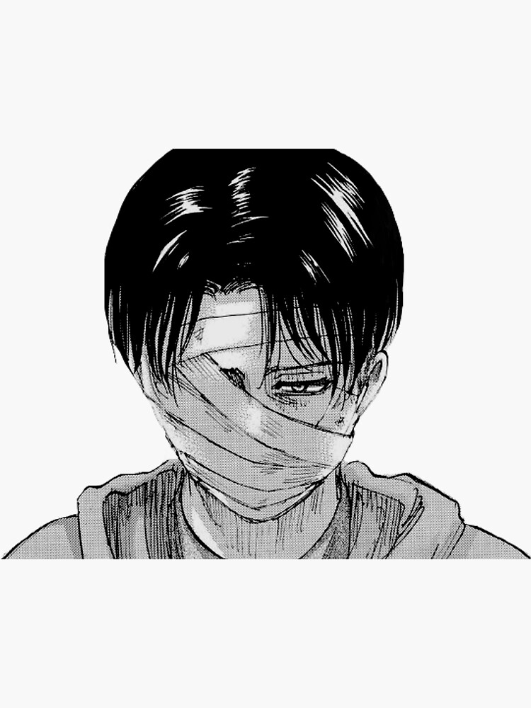 "Sad Levi " Sticker by All-japan-Shop | Redbubble
