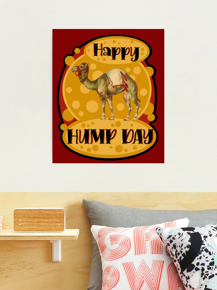 Happy Hump Day Utklipp