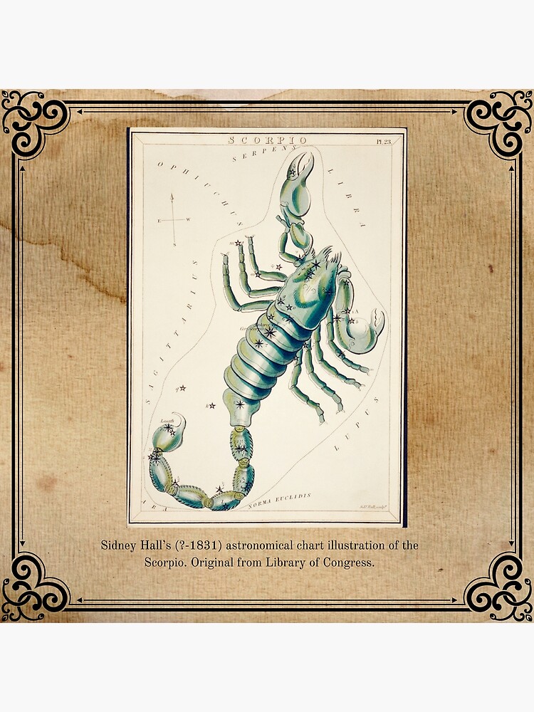 "Old Astronomical Chart Scorpio" Poster for Sale by Avienne7643 | Redbubble