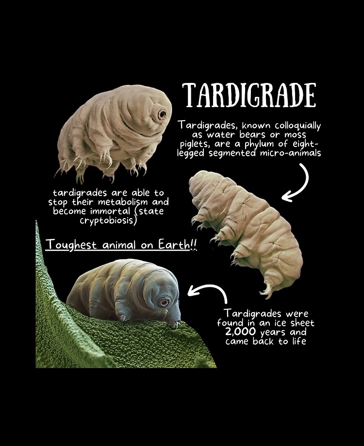 "Tardigrade Fun Facts" iPad Case & Skin for Sale by KyleNesas | Redbubble