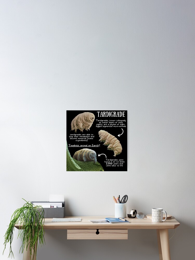 "Tardigrade Fun Facts" Poster for Sale by KyleNesas | Redbubble