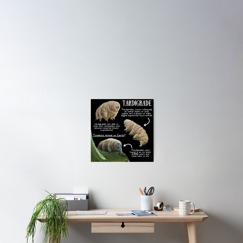 "Tardigrade Fun Facts" Poster for Sale by KyleNesas | Redbubble