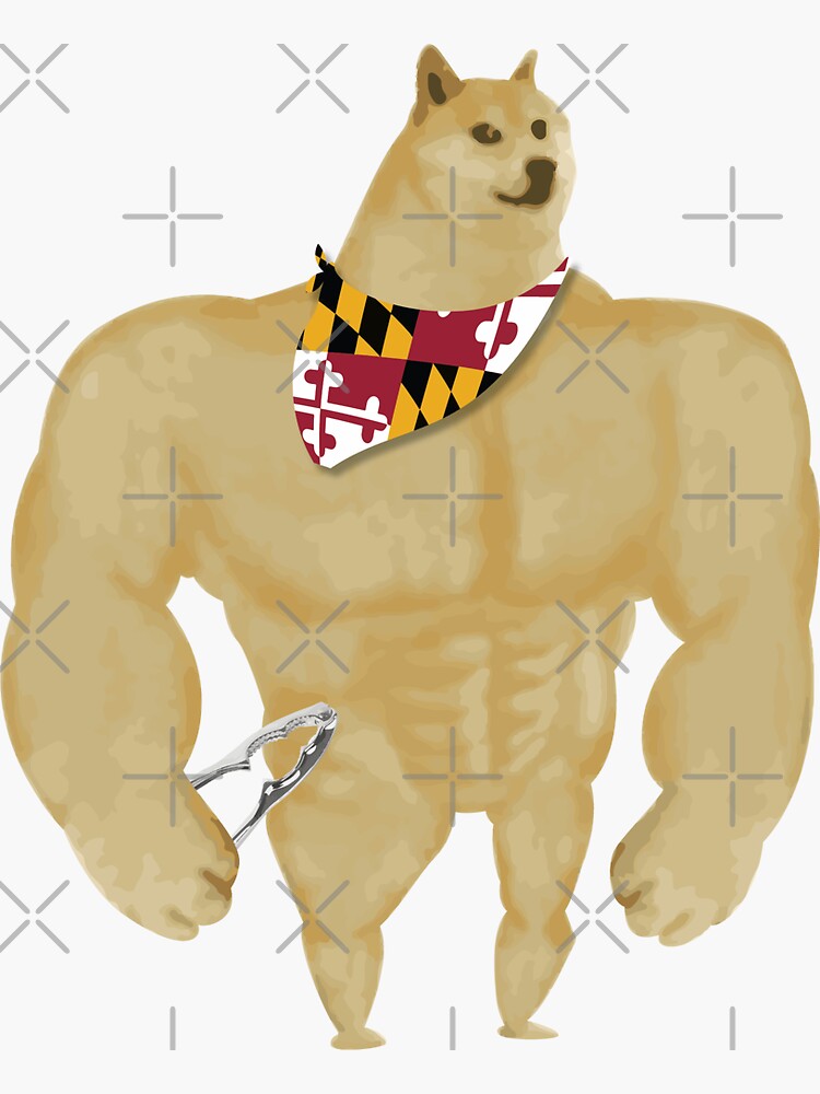 "Maryland Swole Doge - Buff Shiba Inu Meme" Sticker for Sale by ...