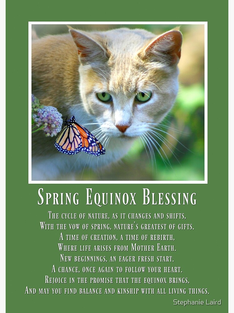 "Spring Equinox Ostara Cat and Butterfly Blessing Poem" Greeting Card ...