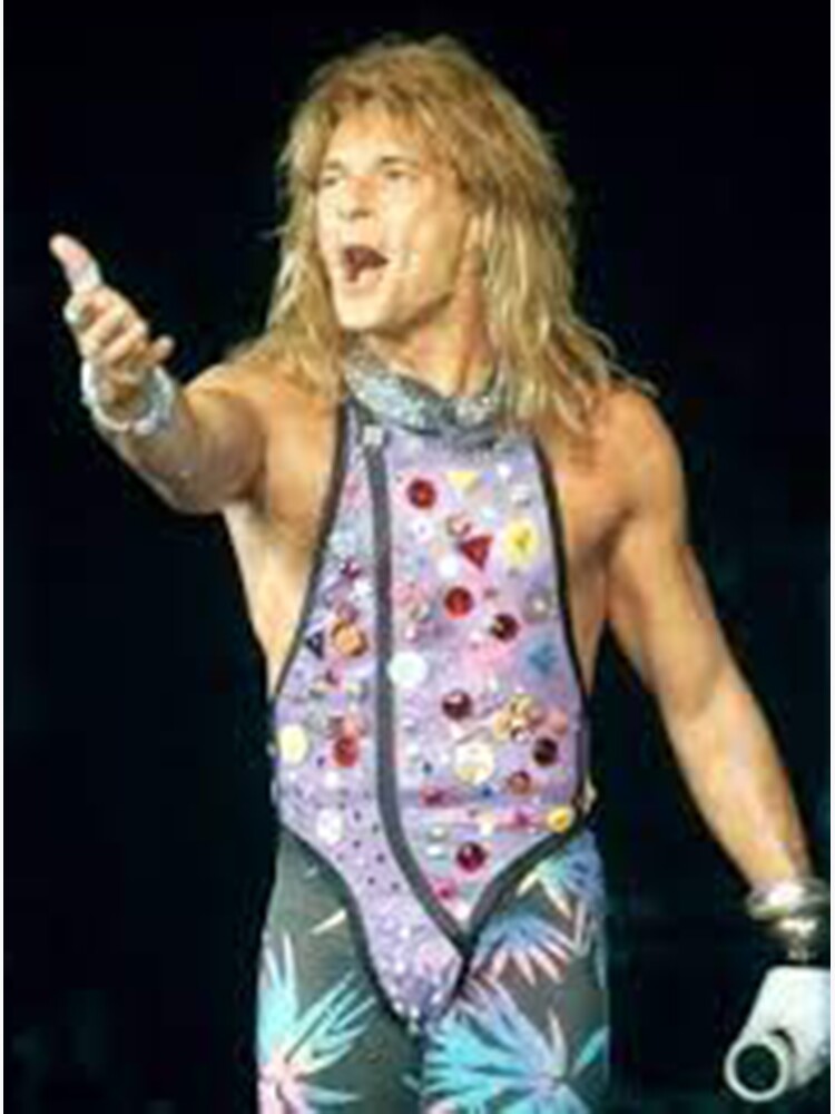 "David Lee Roth - Poster" Sticker by Casandrads | Redbubble