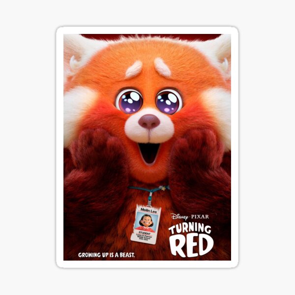 Home & Living 4 TOWN Fridge Magnet Red Panda Birthday Magnet Turning ...