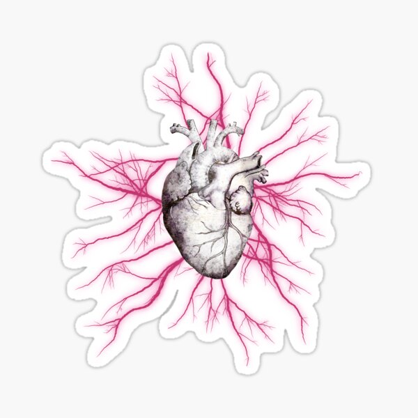 "Vintage Human heart and veins, arteries, blood, illustration art, dark ...