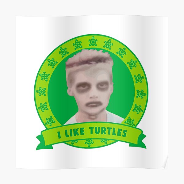 "I Like Turtles Meme" Poster for Sale by FlashmanBiscuit | Redbubble