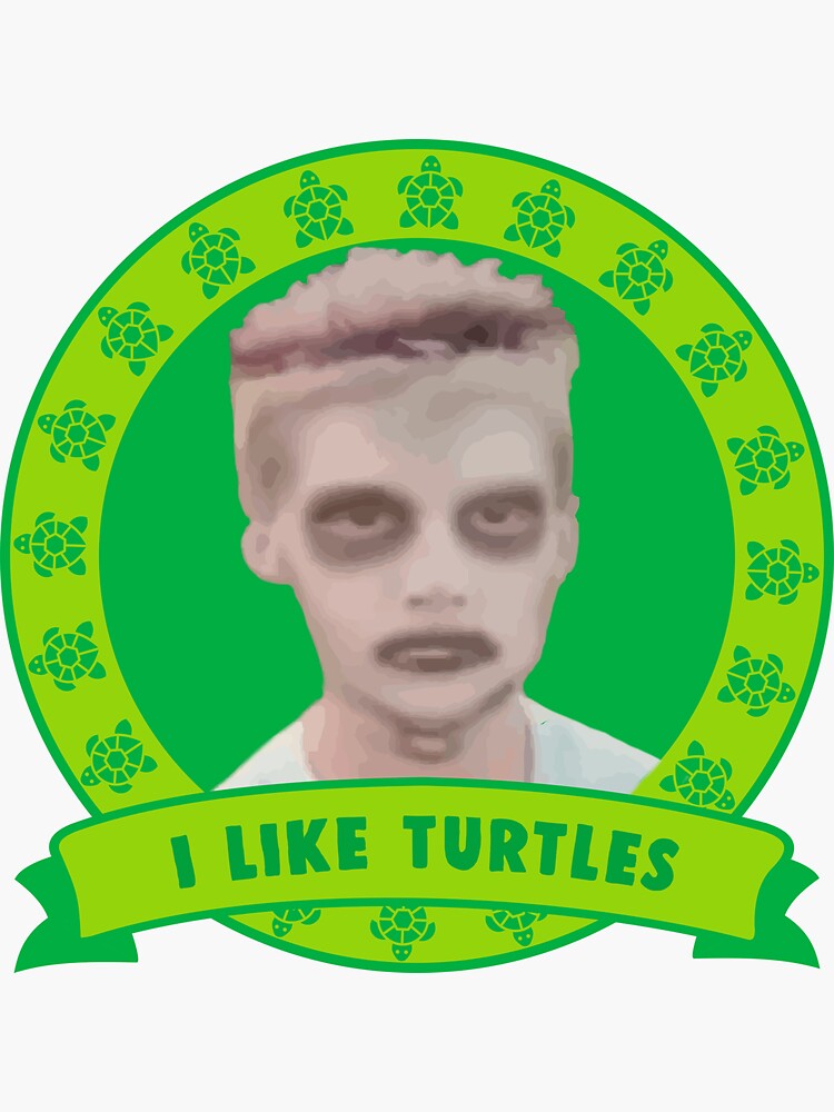 "I Like Turtles Meme" Sticker by FlashmanBiscuit | Redbubble
