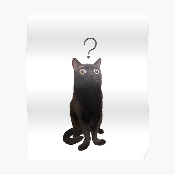 "Jinx Stance question mark - tik tok" Poster by sayty4 | Redbubble