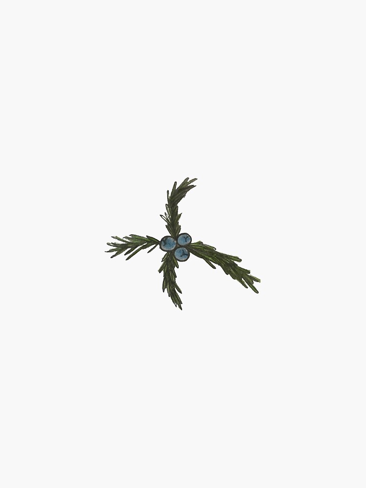 "Juniper" Sticker by IsaKahlo | Redbubble