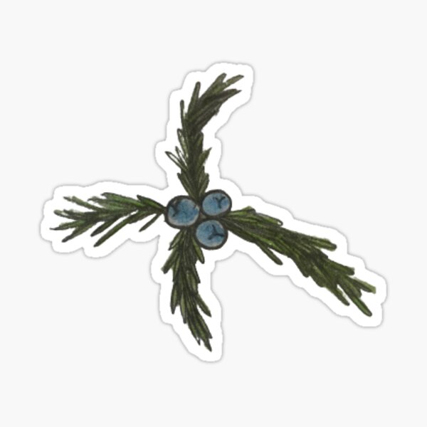 "Juniper" Sticker by IsaKahlo | Redbubble