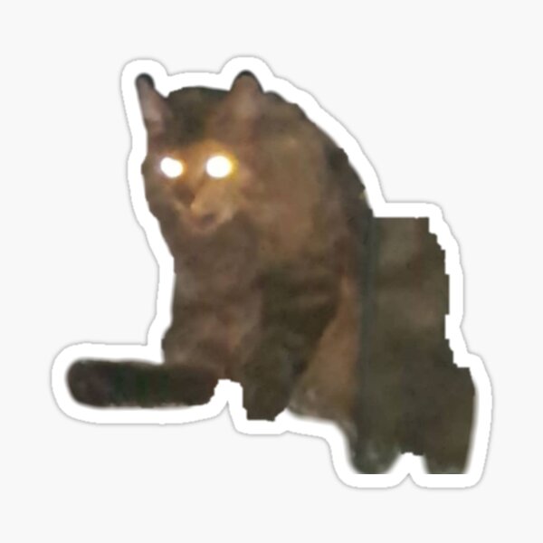 "cursed cat" Sticker for Sale by BigBoyBrandon70 | Redbubble