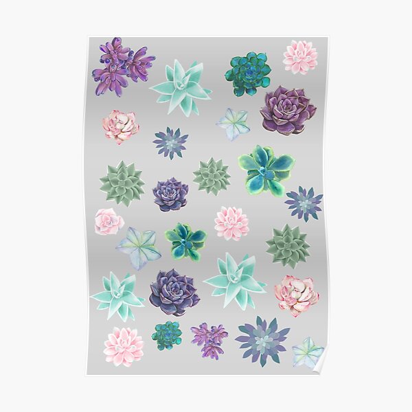 "Succulents and cactus" Poster for Sale by Bespokestudio | Redbubble