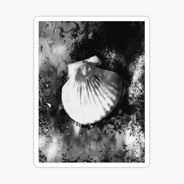 "Black and white shell" Sticker by Landreorama | Redbubble