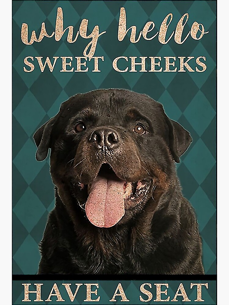Póster «Rottweiler por qué hola dulces mejillas siéntate Perro ...