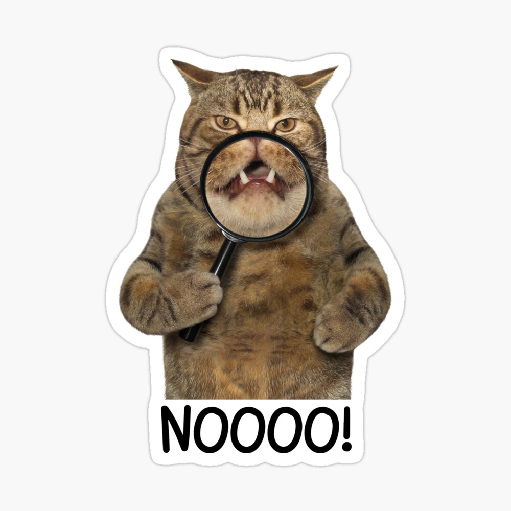 Nooooooooo Cat