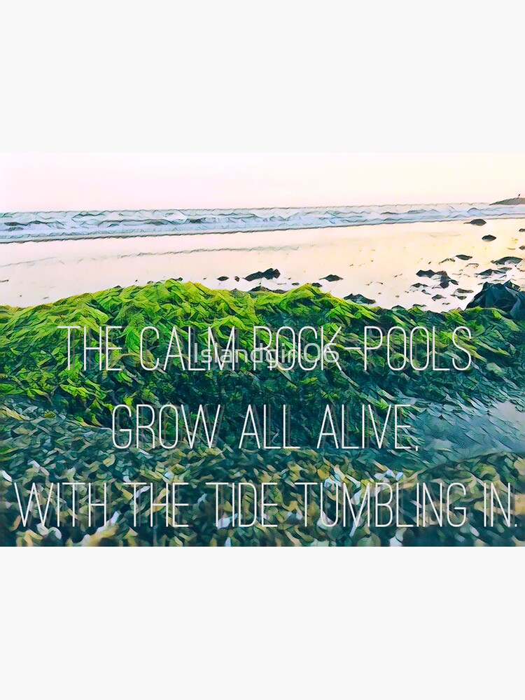"The calm rock pools grow all alive with the tide tumbling in- white ...