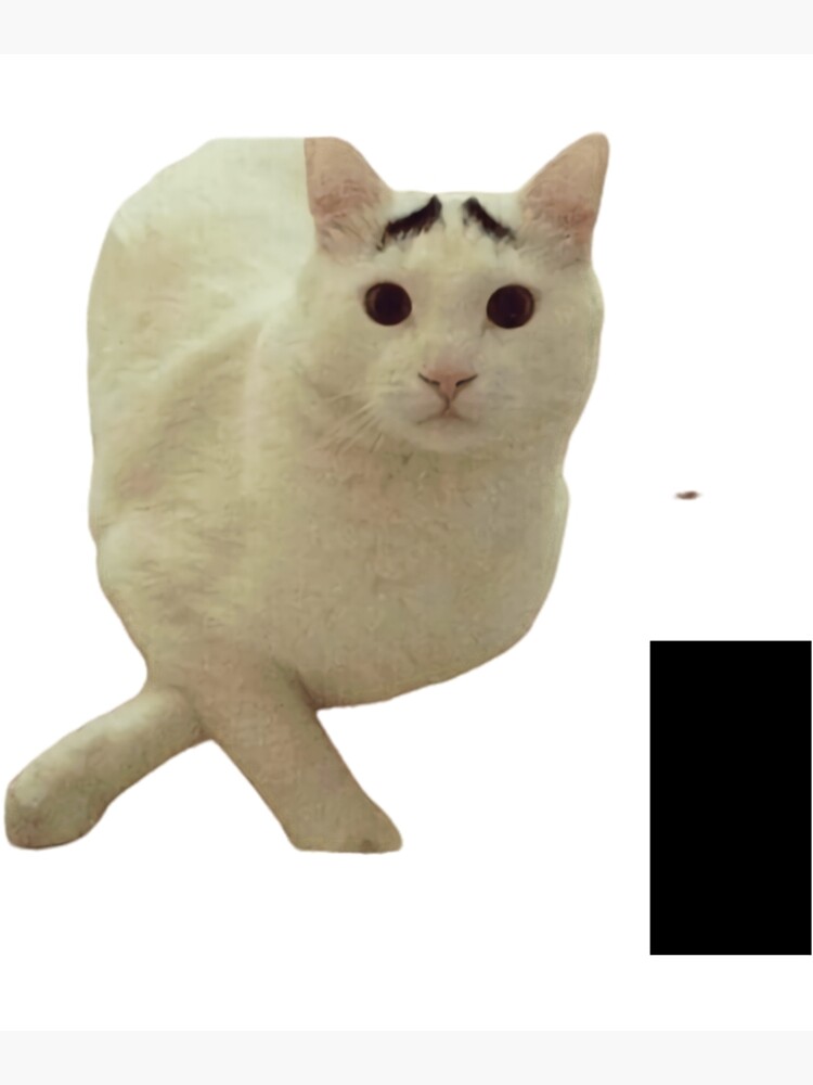 "eyebrow meme cat and black square funny cat " Poster for Sale by ...