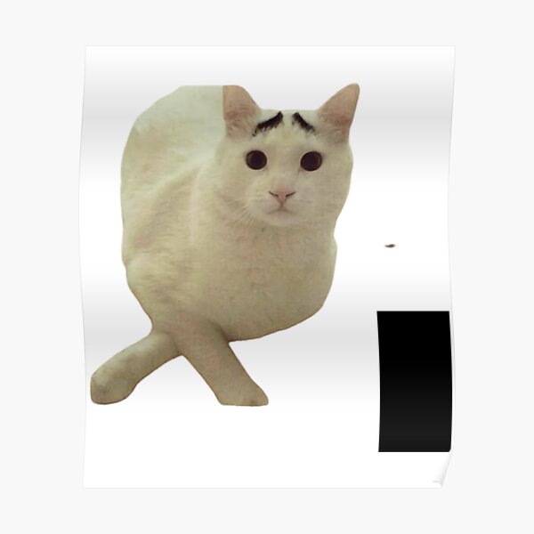 "eyebrow meme cat and black square funny cat " Poster for Sale by ...