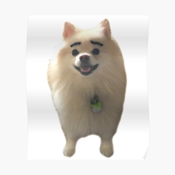 "Heh Dog Meme " Poster for Sale by BiouSivc | Redbubble