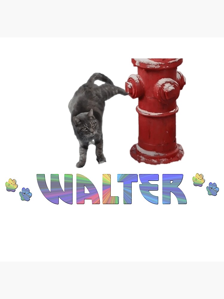"Walter the cat" Poster by lemagnifique | Redbubble