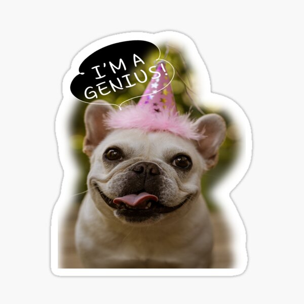 "A FUNNY GENIUS DOG" Sticker by heewonkang | Redbubble