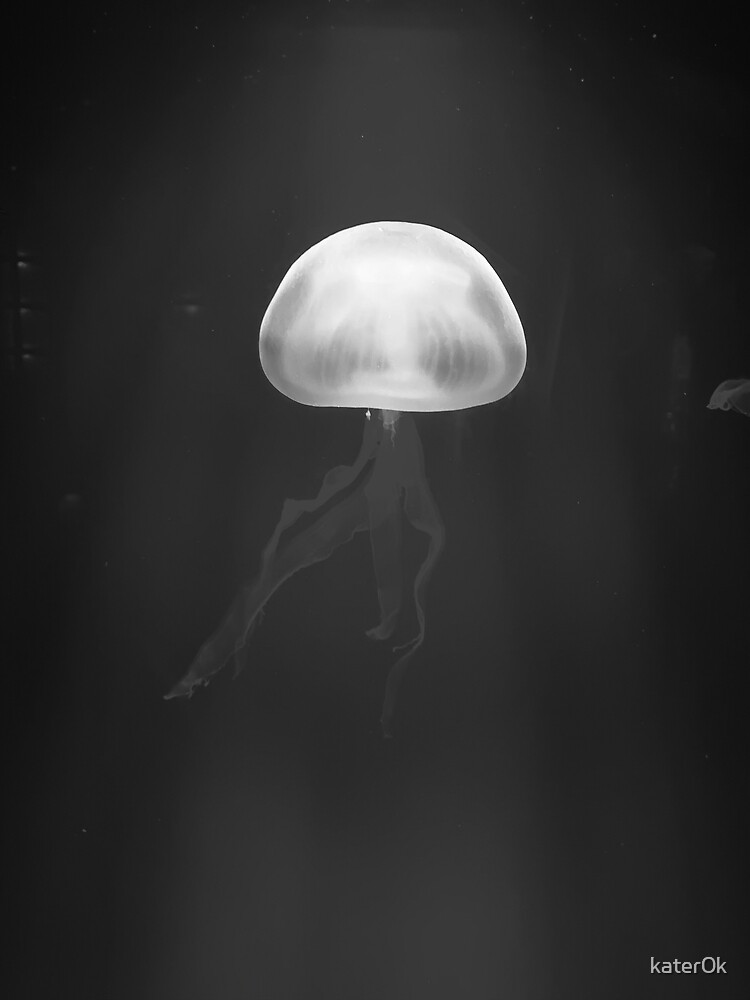 "grey jellyfish on a black background" Poster for Sale by kater0k ...