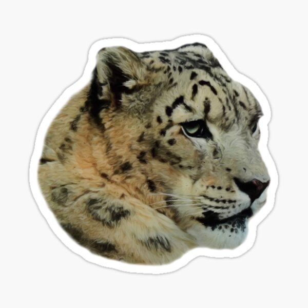 "Snow leopard" Sticker by Guardi71 | Redbubble
