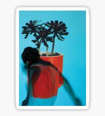 Local Natives: Stickers | Redbubble