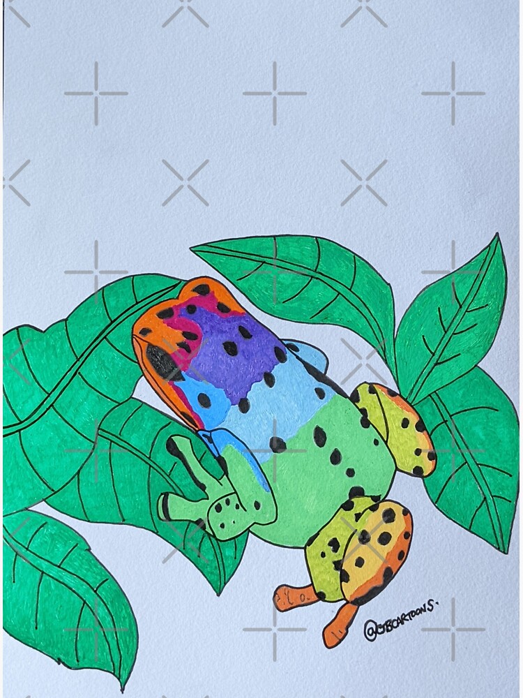 "Rainbow poison dart frog." Sticker for Sale by Cjb46 | Redbubble
