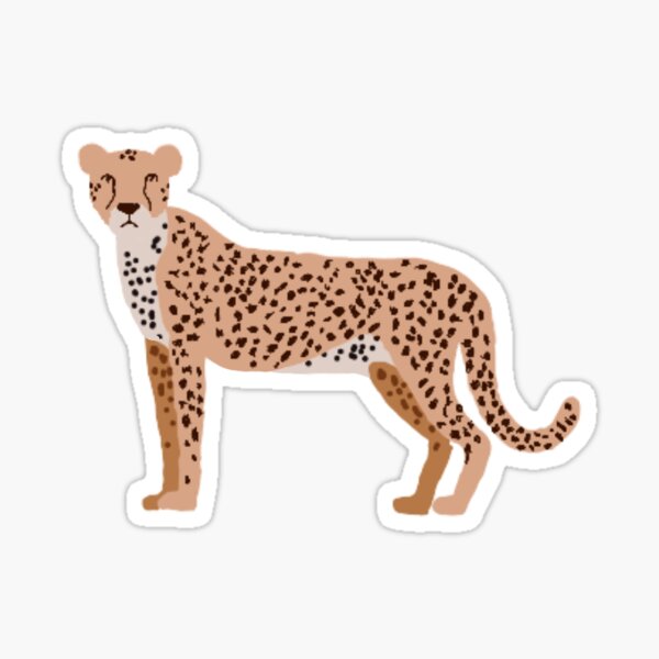 "cheetah" Sticker for Sale by findthesunshine | Redbubble