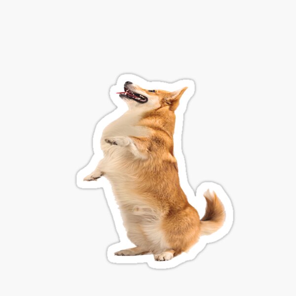 "Dancing Corgi Kawaii Cute Funny" Sticker by Fatma-Khater | Redbubble