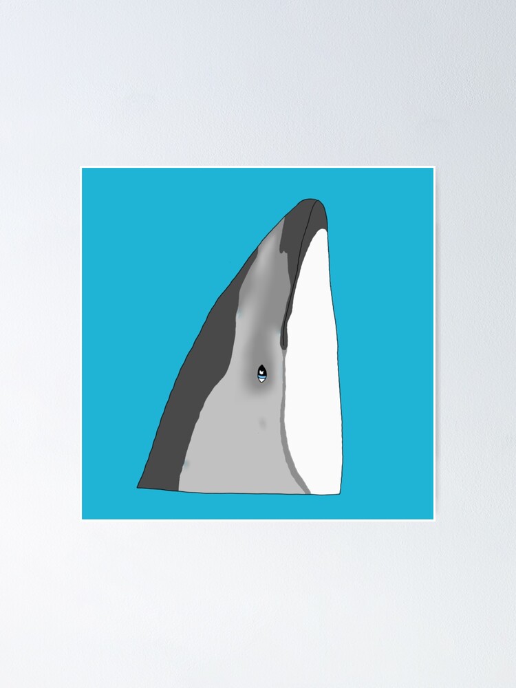 "Ipo Pacific White-Sided Dolphin" Poster for Sale by tidaldreams ...