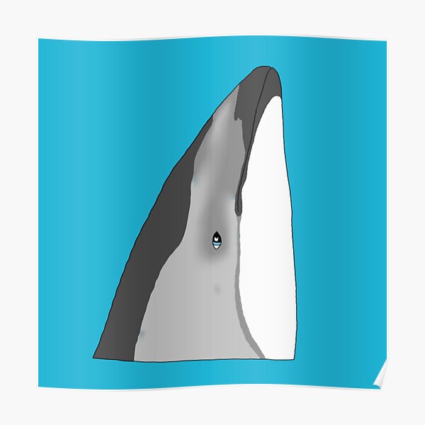 "Ipo Pacific White-Sided Dolphin" Poster for Sale by tidaldreams ...