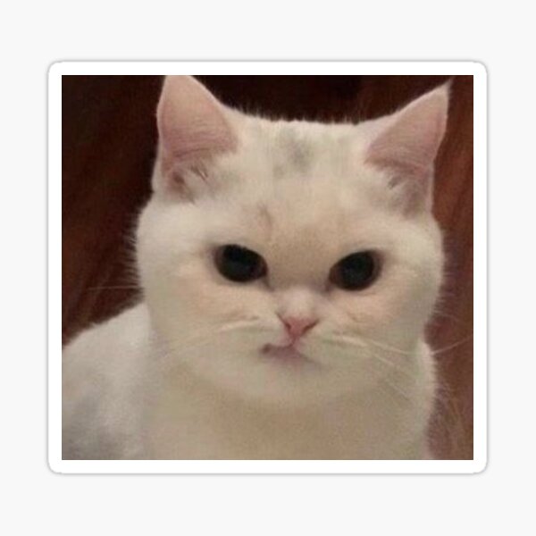 "GRUMPY CAT" Sticker by deepfriedfeline | Redbubble