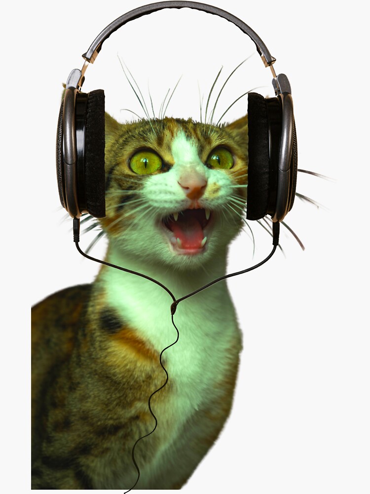 "Rocking Kitty" Sticker for Sale by GreenGirlNCo | Redbubble