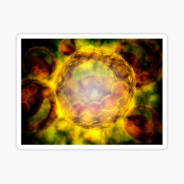 "Microscopic view of human cell." Sticker for Sale by StocktrekImages ...