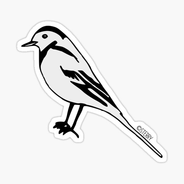 "Pied Wagtail - Bird Illustration" Sticker for Sale by HannahSterry ...