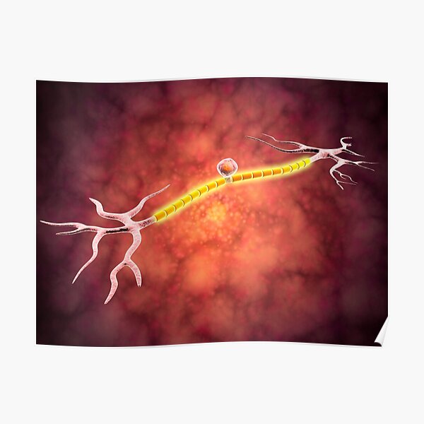 "Microscopic view of a unipolar neuron." Poster by StocktrekImages ...
