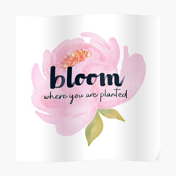 "Bloom Where You Are Planted Beautiful Inspirational and Motivational ...