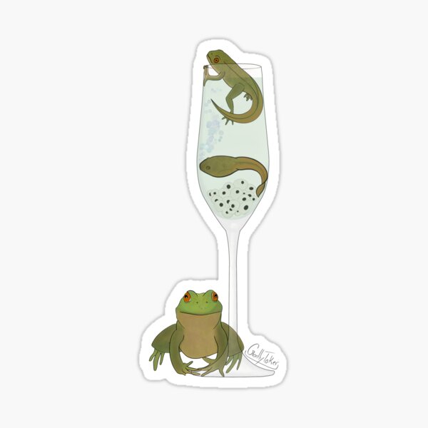 "Life cycle of a frog" Sticker by GodlyToker | Redbubble
