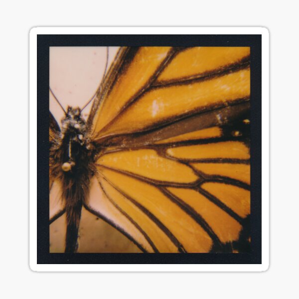 "LEGACY" Sticker by edouardx | Redbubble