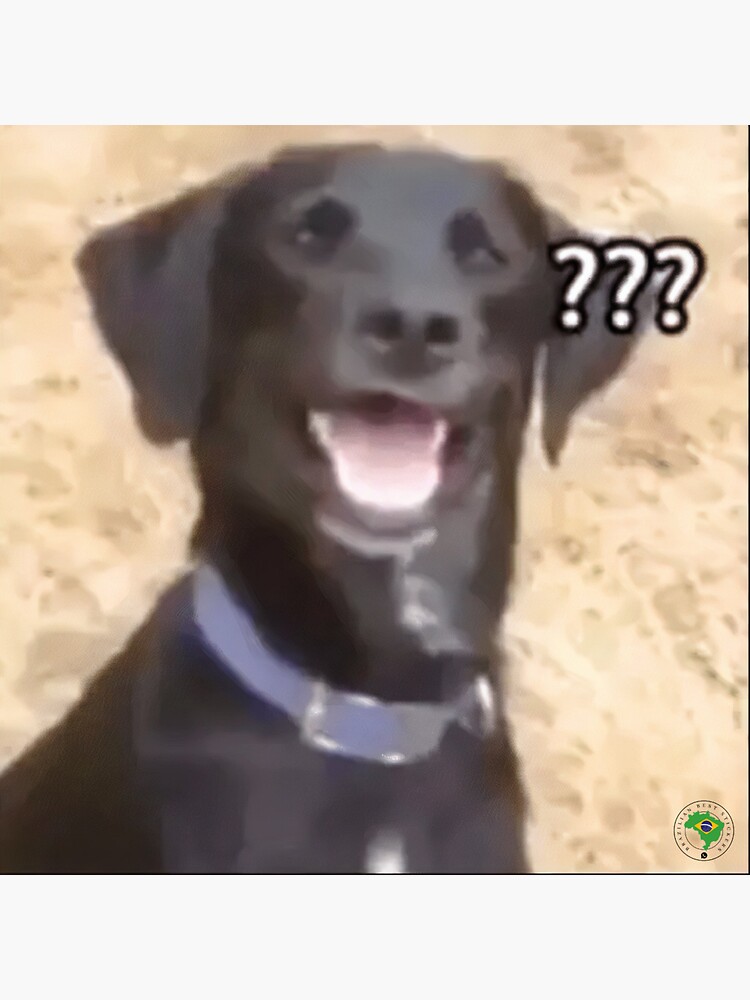 "Confused Dog" Sticker by brazilsticker | Redbubble