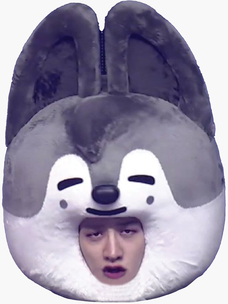 "Stray Kids Funny Bang Chan Meme" Sticker for Sale by kpopnow | Redbubble